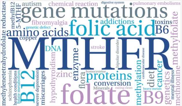 Understanding the MTHFR Gene: Effects and Folate Needs - Natural Chemist