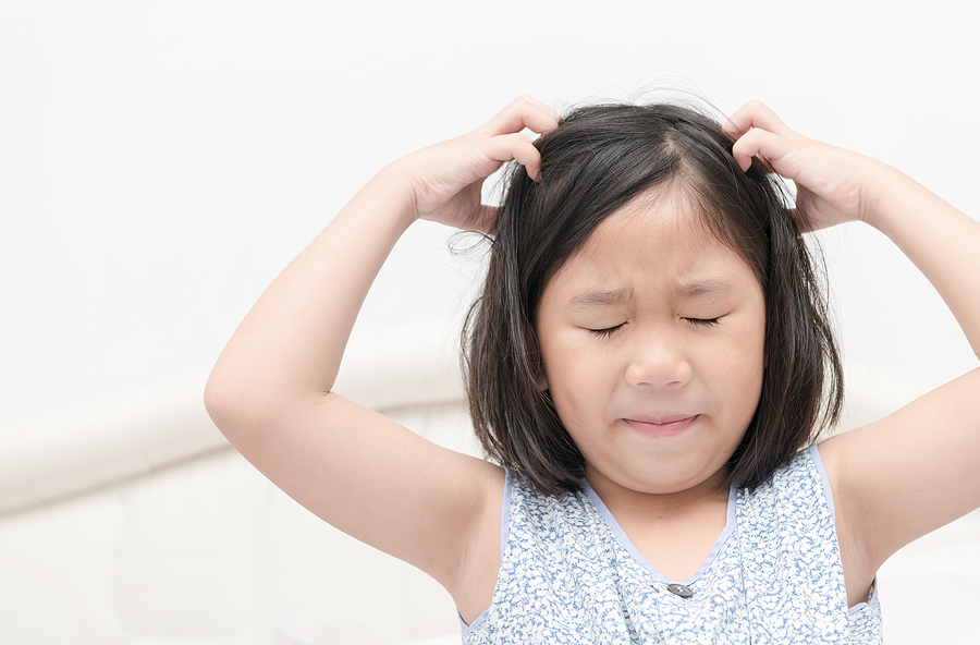 A Comprehensive Guide to Treating Head Lice - Natural Chemist