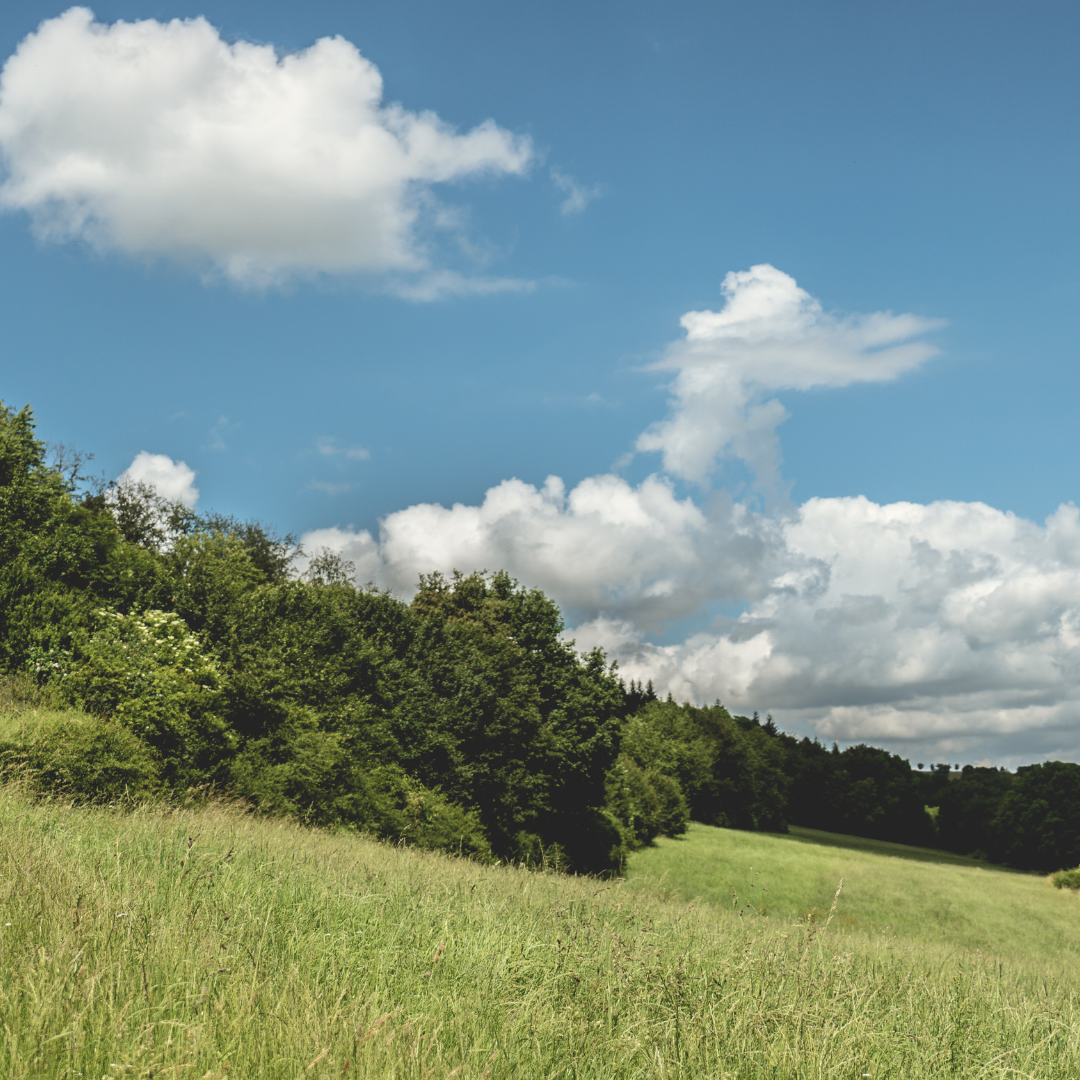 Inflammageing: Taming the Fire Within with Antioxidants and Omega-3 ...