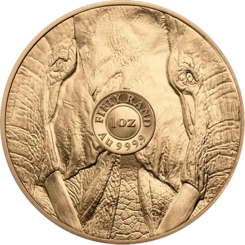 2024 South Africa Gold Big 5 Elephant 50 Rand 1 oz BU Ten 10 Coins in ...