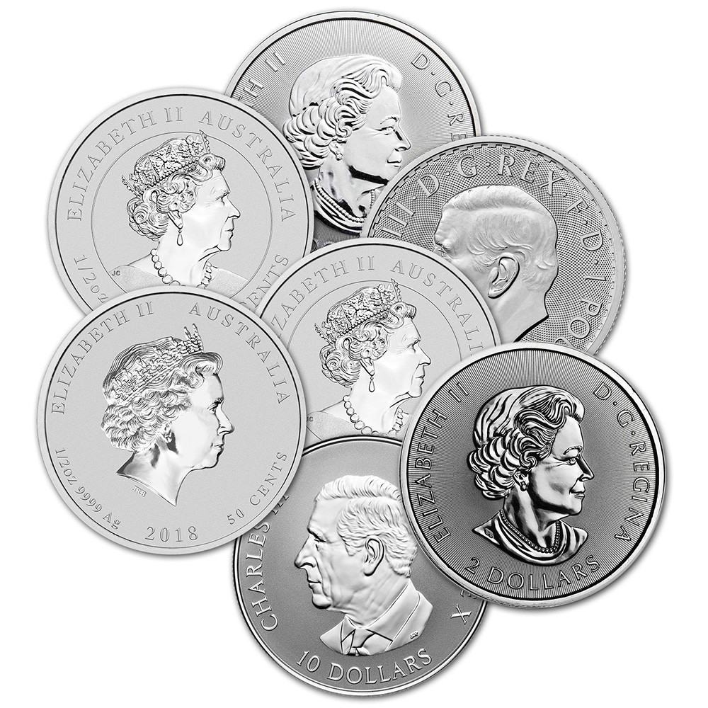 1/2 oz Silver Coin - Random Sovereign Mint - Secondary Market [X-S0.5 ...