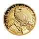2023 W American Liberty Gold High Relief Proof 1 oz $100 NGC PF70 First ...