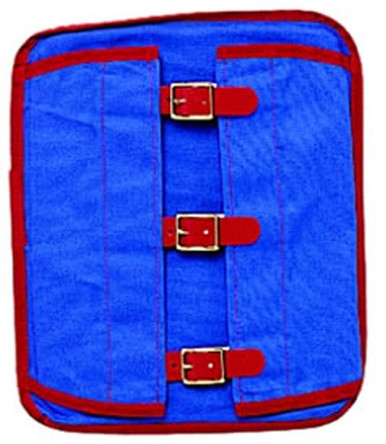 Buckle Board - Sensory University, Inc.