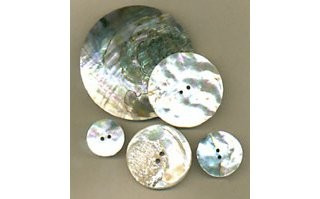 Abalone Shell Discs | 2-Hole | Craft Supplies at Prairie Edge