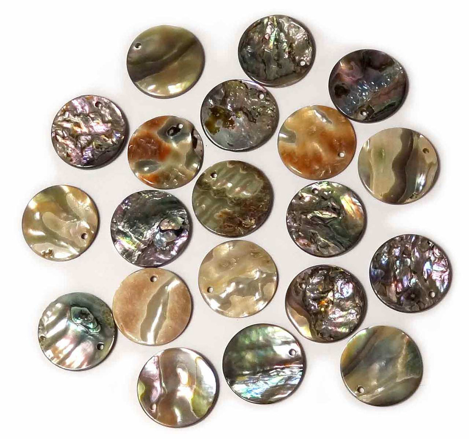 Whole Abalone Shells | Natural Sea Shells at Prairie Edge