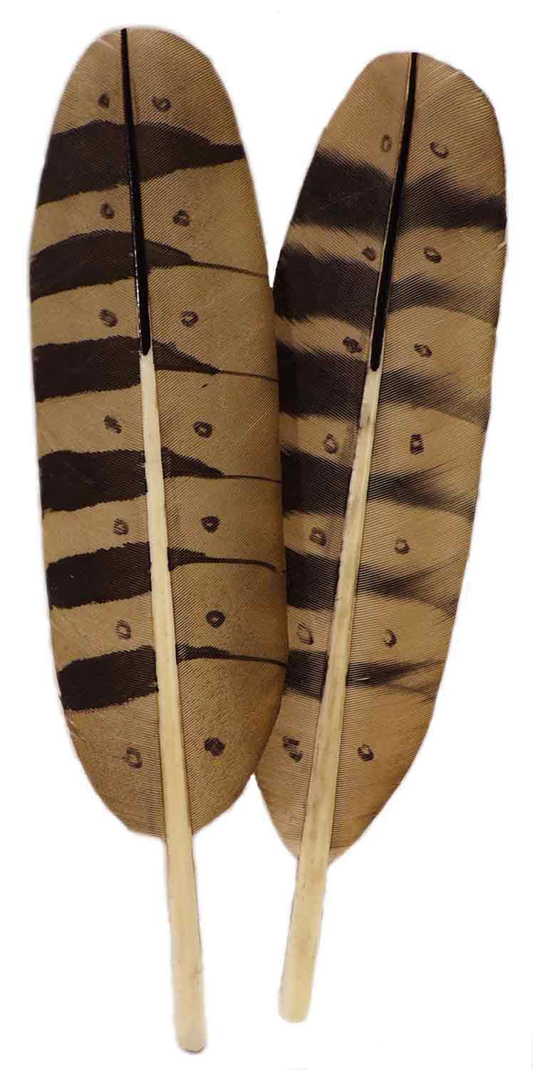 Native American Craft Supplies | Imitation Sinew: Colored