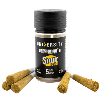 University Freshman's THCA Indoor Flower Pre-Roll