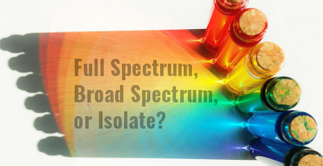 Full Spectrum, Broad Spectrum, or Isolate? - CBD to Store