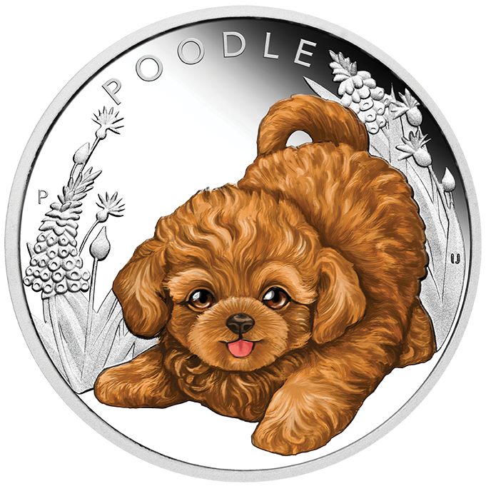 2018 Puppies - Poodle 1/2oz Silver Proof Coin - Presented by The Coin ...