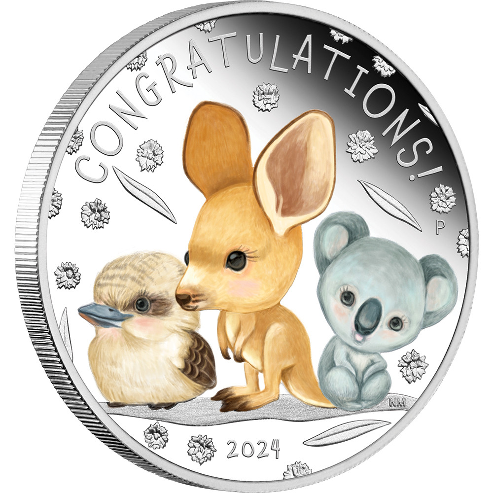 Newborn 2024 1/2oz Silver Proof Coin - Presented by The Coin Company