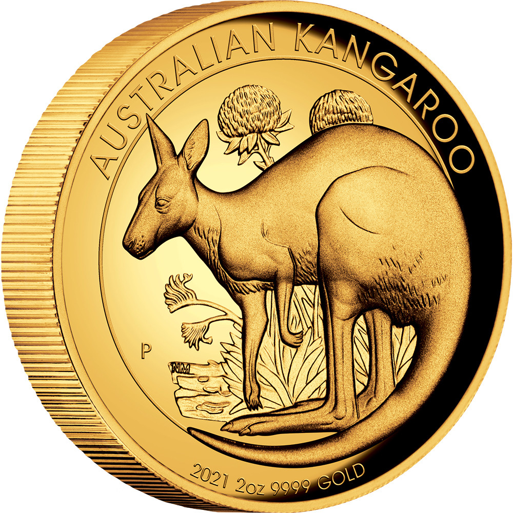 Australian Kangaroo 2021 2oz Gold Proof High Relief Coin - Presented by ...
