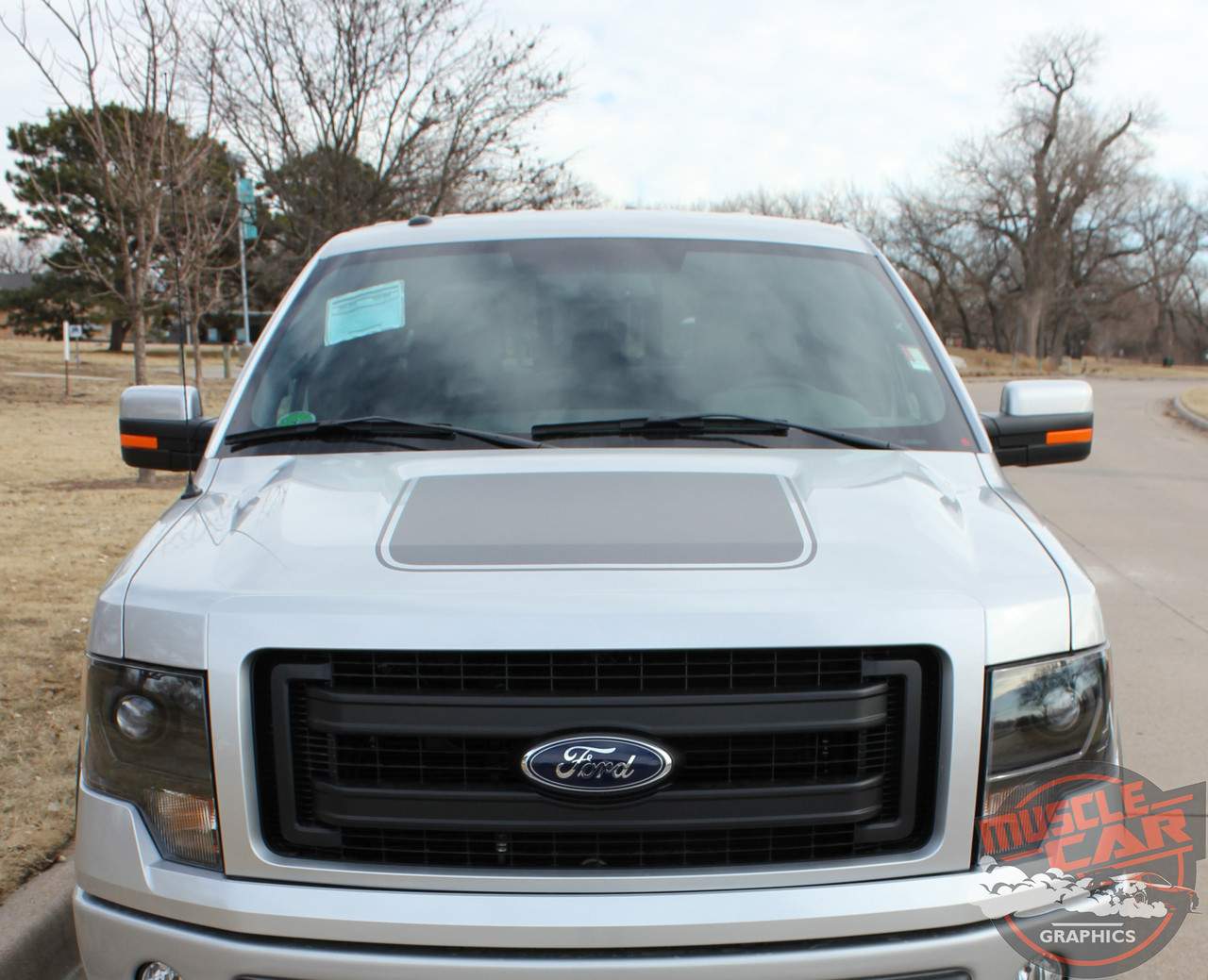 FORCE HOOD SOLID, Ford F150 Stripes, F150 Hood Decals, F150 Vinyl Graphics
