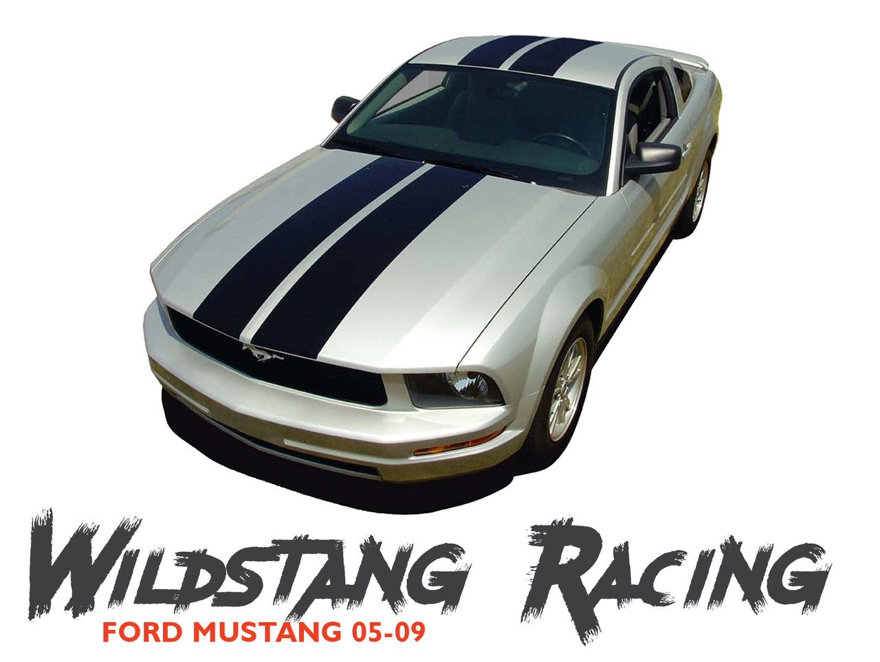 WILDSTANG 05, Ford Mustang Stripes, Mustang Decals, Mustang Vinyl Graphics