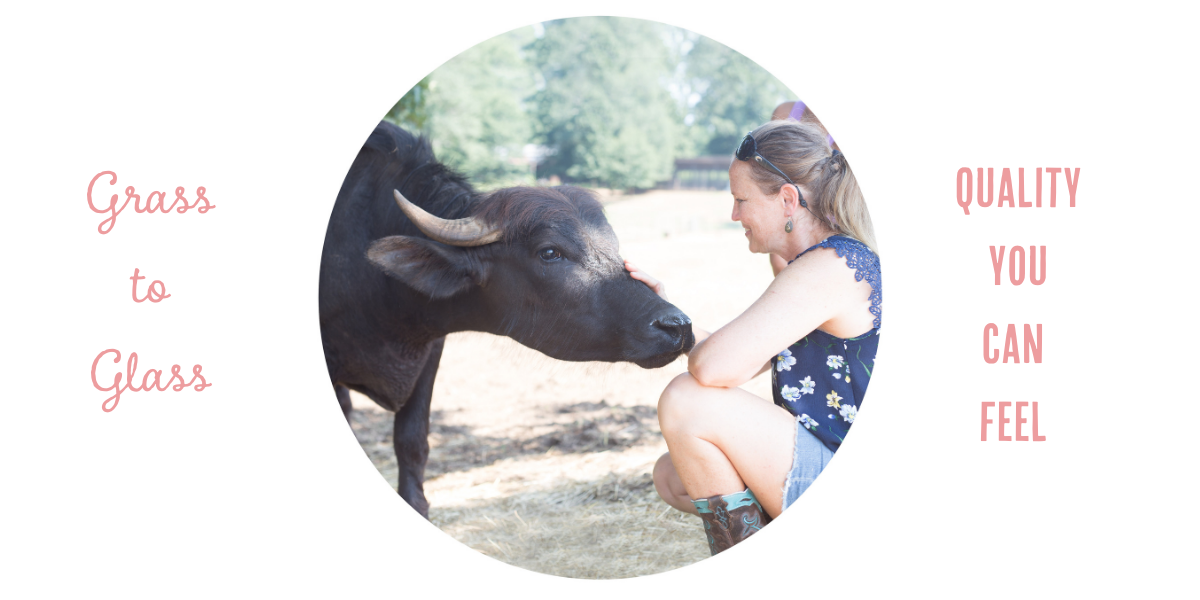 Buffalo Gal Grassfed Beauty - Tallow Skin Care - Tallow Face Balm ...