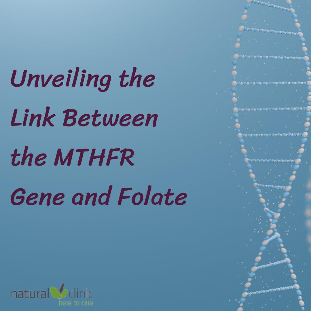 Unveiling the Link Between the MTHFR Gene and Folate: Implications for ...