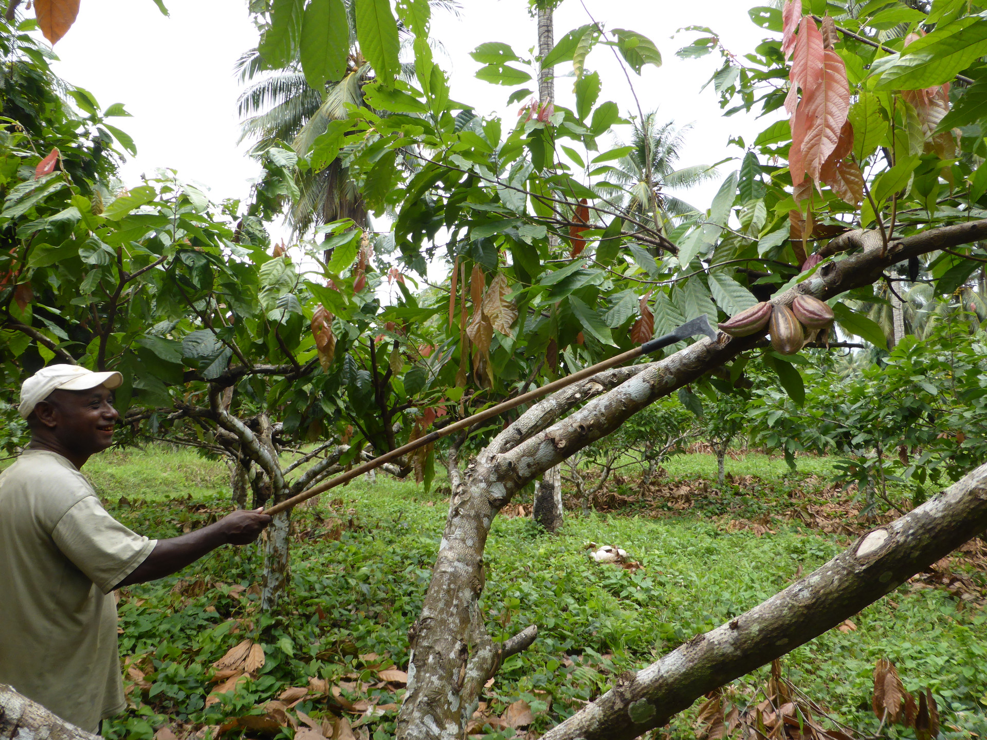 Charley's farmers - Karkar Island PNG - Charley's
