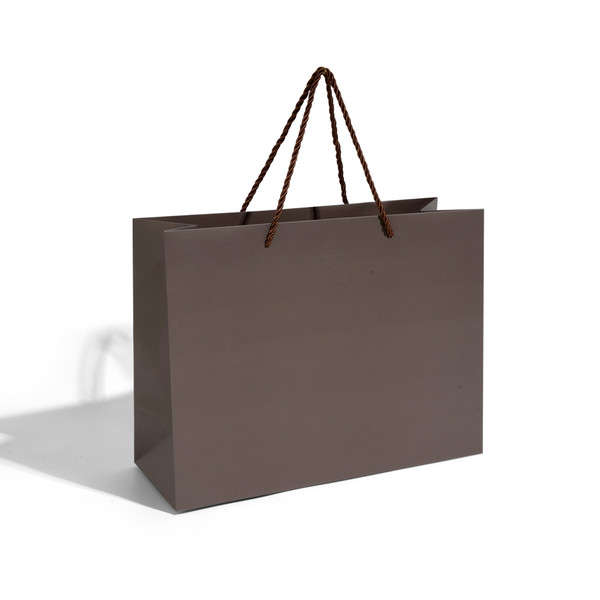 Large Vogue Size Paper Tote Gift Bag with Matching Rope Handle in ...