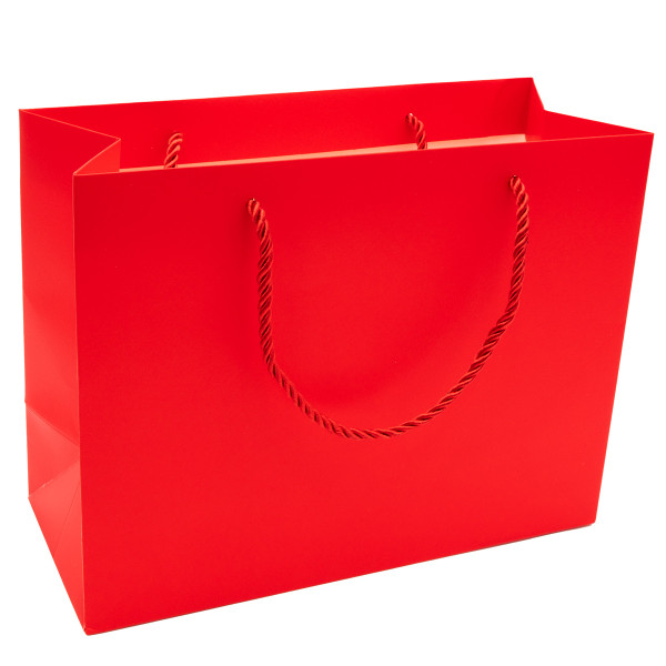 Paper Tote Gift Bag Red Color with Rope Handles - BUY 100pcs and SAVE ...
