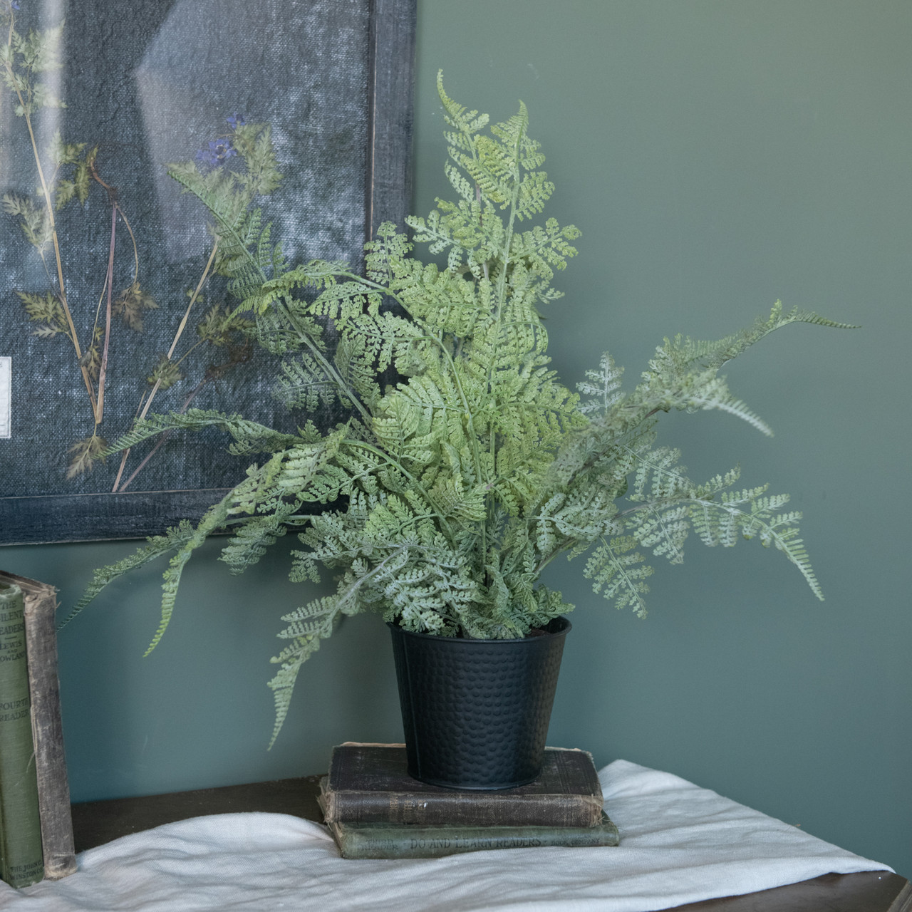 19" POTTED LACE FERN - Ragon House