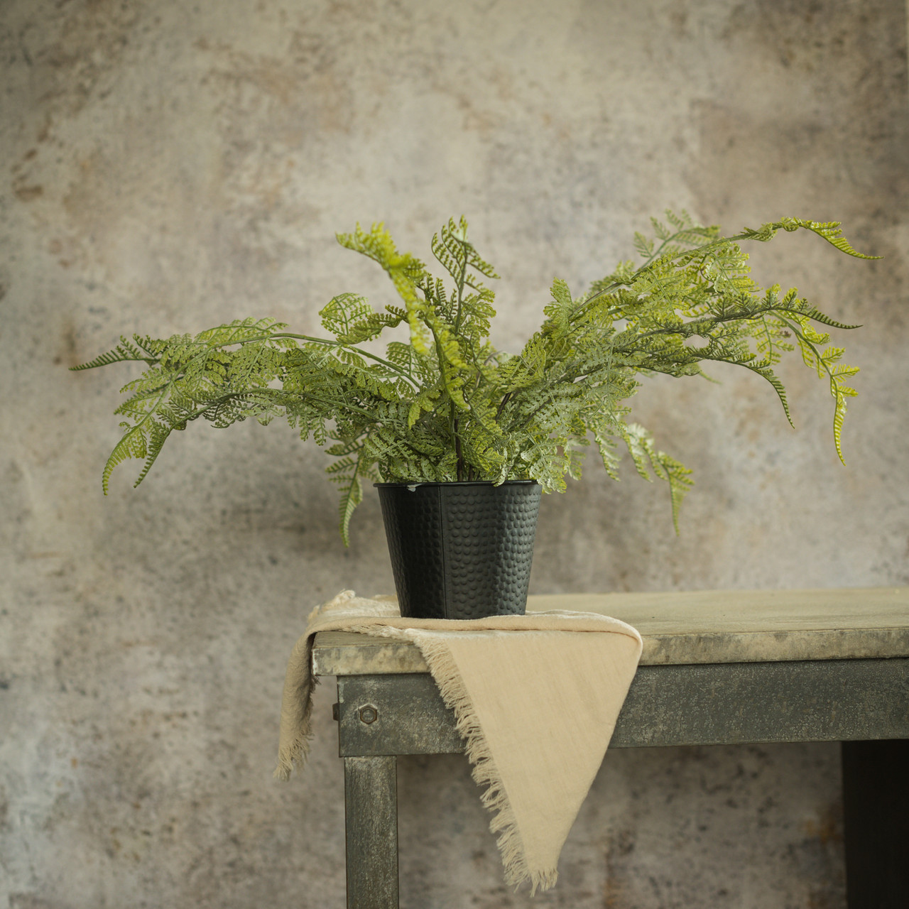 19" POTTED LACE FERN - Ragon House