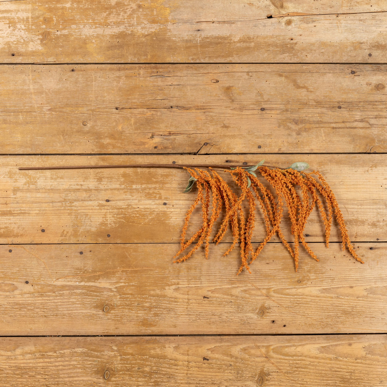 39" ORANGE AMARANTHUS HANGING SPRAY - Ragon House