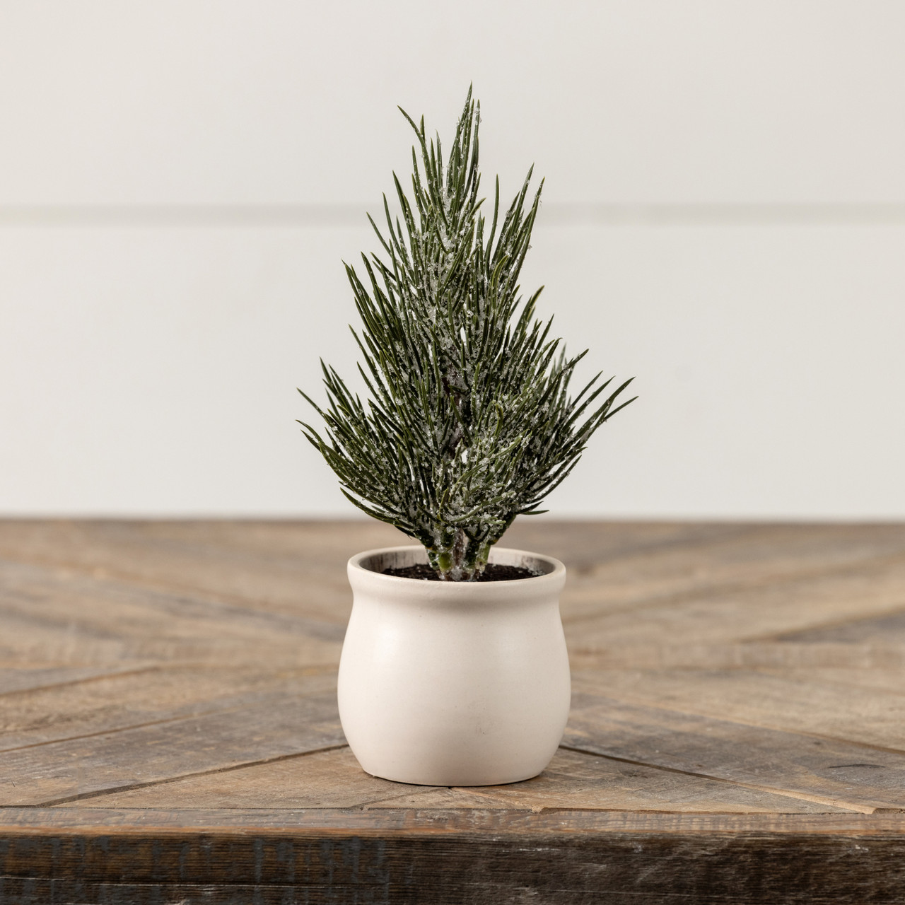 VAIL TREE IN POT - Ragon House