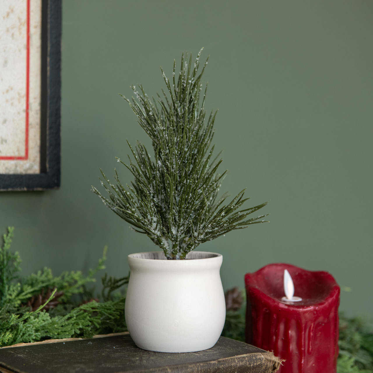 VAIL TREE IN POT - Ragon House