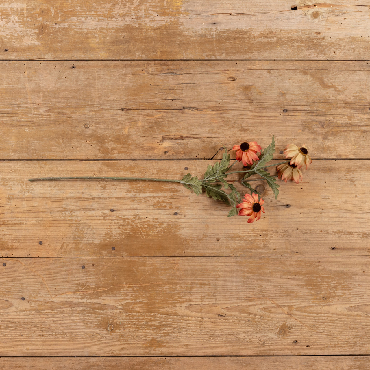 25.5" RUST BLACK-EYED SUSAN SPRAY - Ragon House