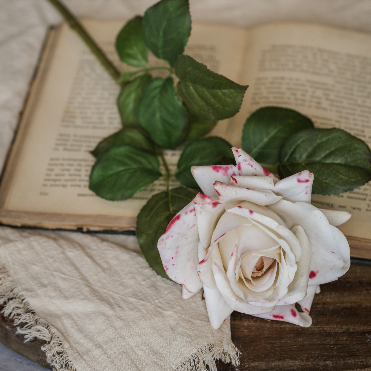 25.5" SOFT TOUCH CREAM ROSE STEM - Ragon House