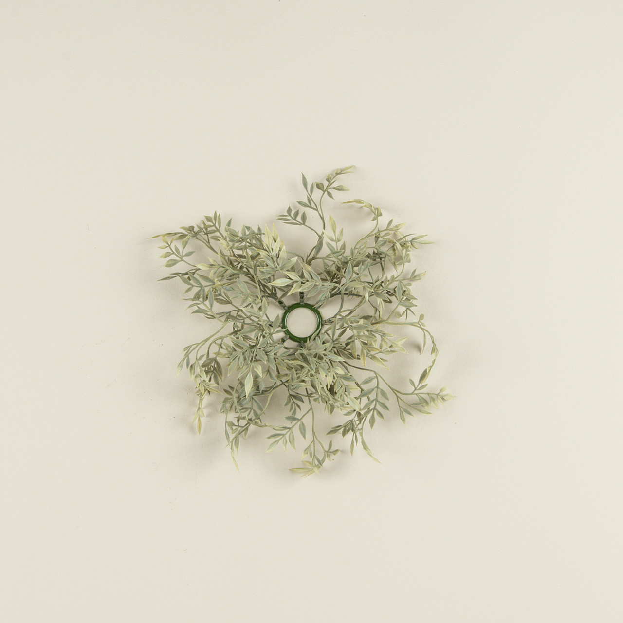 8" MINI FICUS TAPER CANDLE RING - Ragon House
