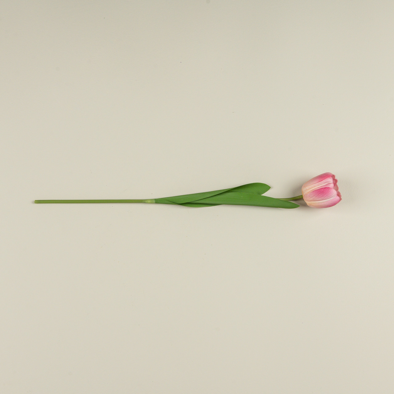 21.5" SOFT TOUCH PINK TULIP STEM - Ragon House