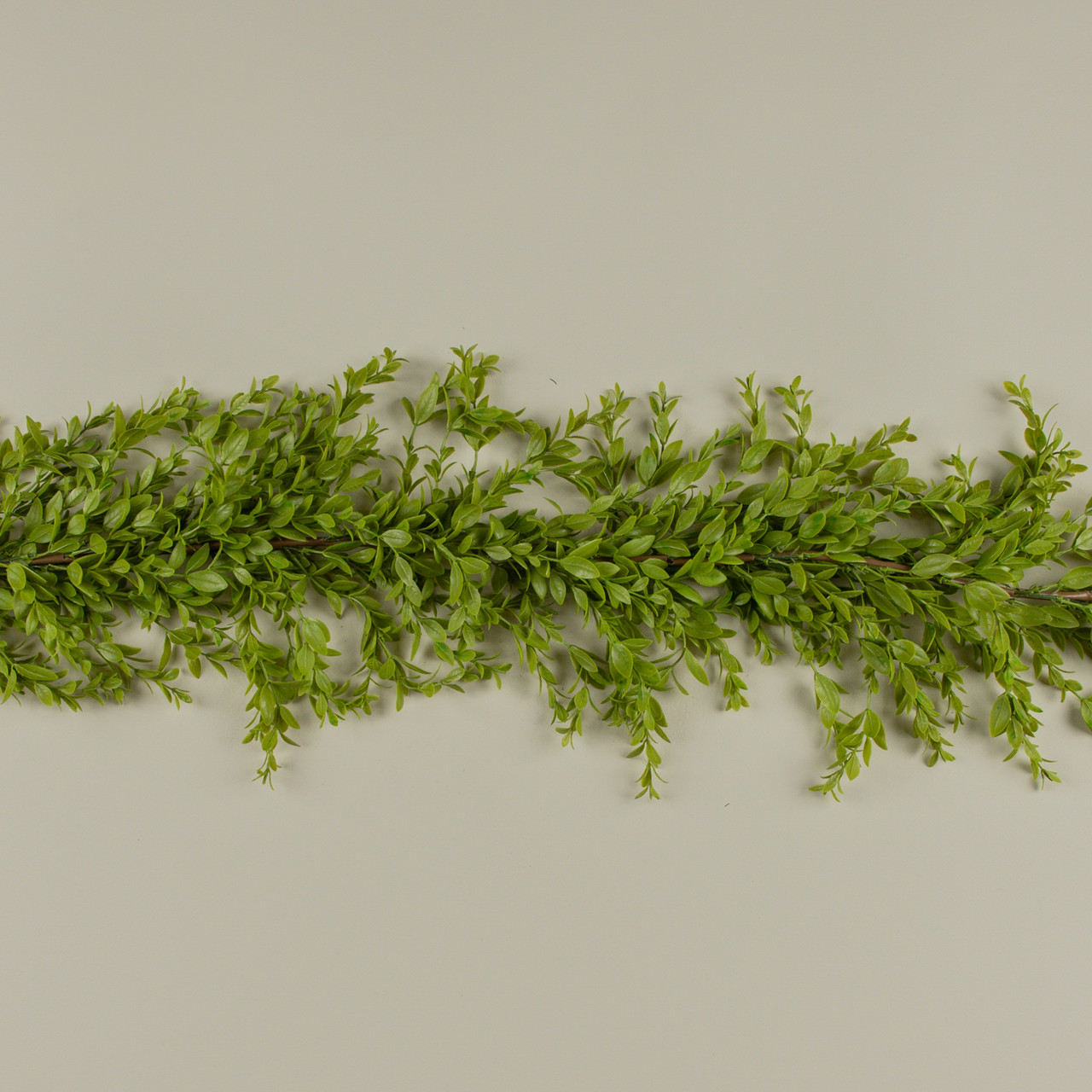 6' RUSCUS LEAF GARLAND - Ragon House