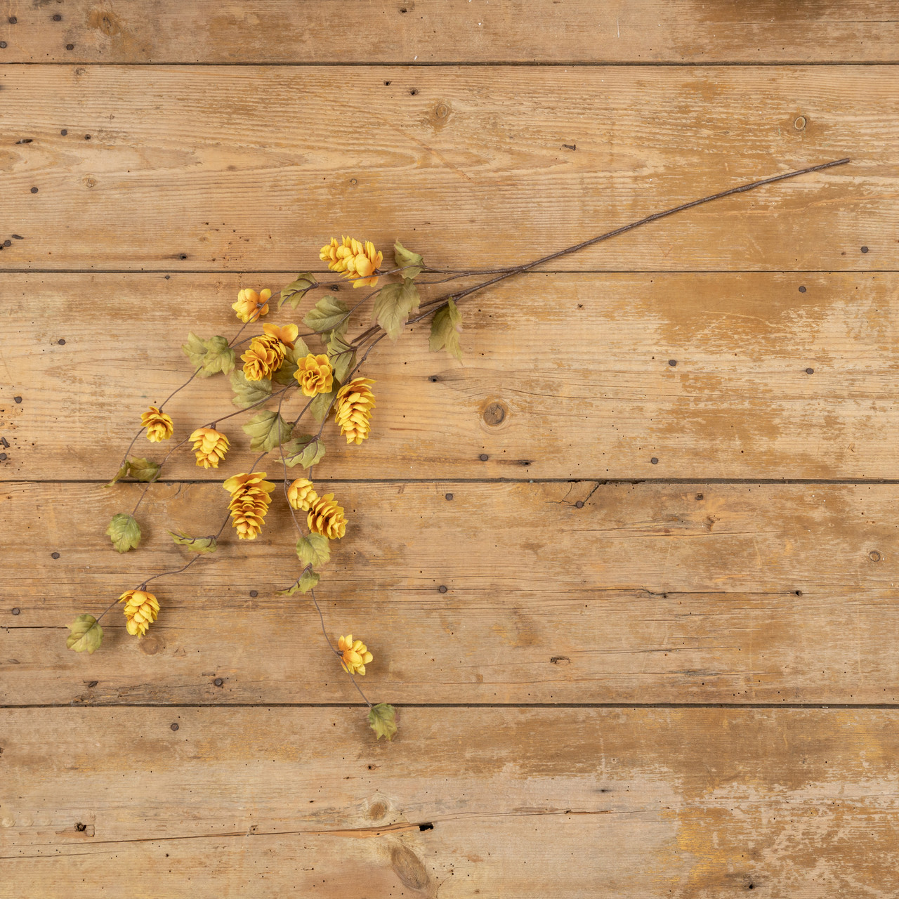 39" YELLOW HOPS STEM - Ragon House