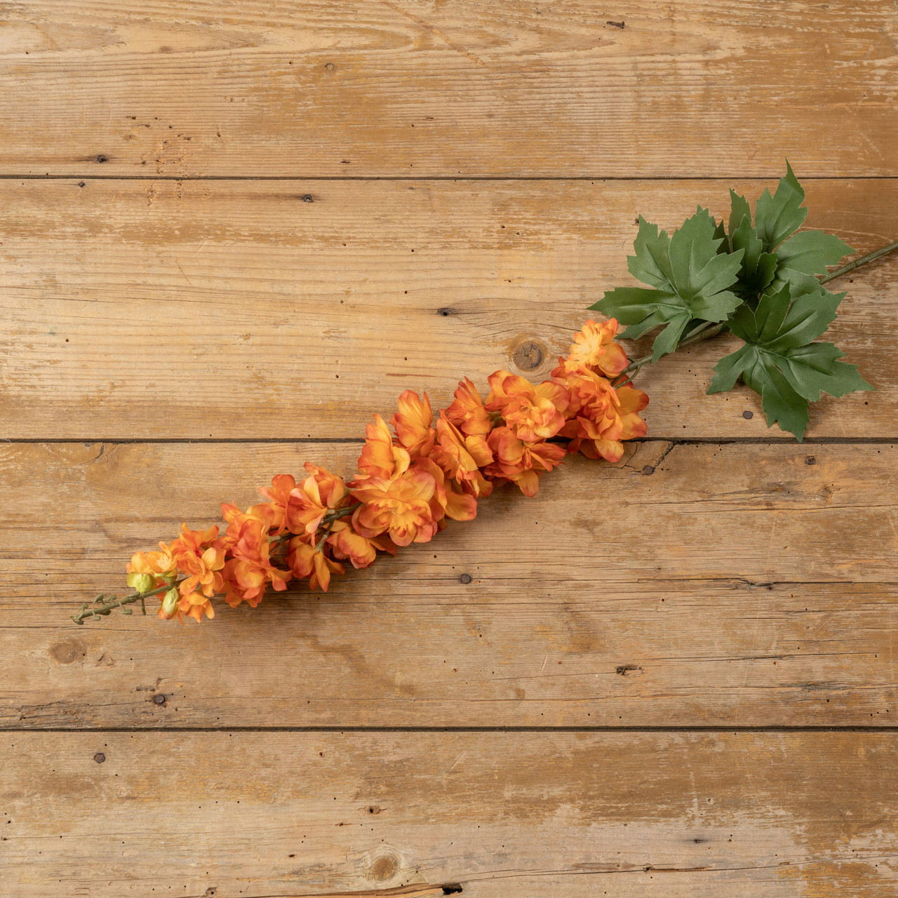 50.5" ORANGE GIANT LARKSPUR STEM - Ragon House