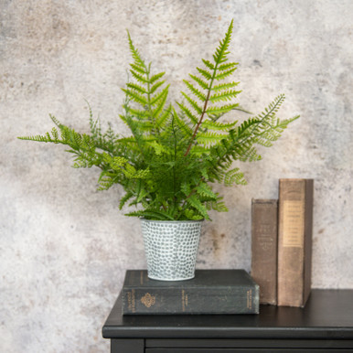 15" POTTED FERN - Ragon House