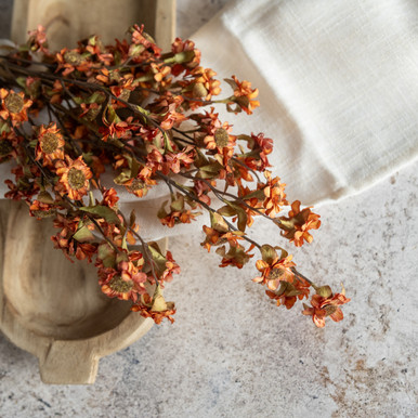 22" RUST MINI DAISY BUSH - Ragon House