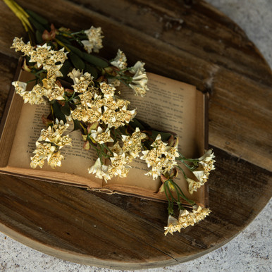 30" BEIGE & CREAM WILD FLOWER SPRAY - Ragon House