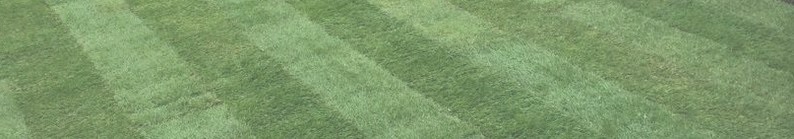 How to stripe your garden lawn - Peacock Turfscape