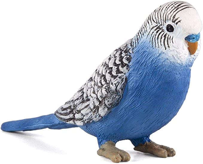 Mojo - Budgerigar Blue (Parakeet) - The Smiley Barn