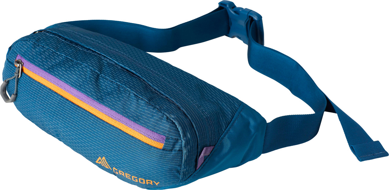 Gregory Nano Mini Fanny Pack - Unisex | MEC