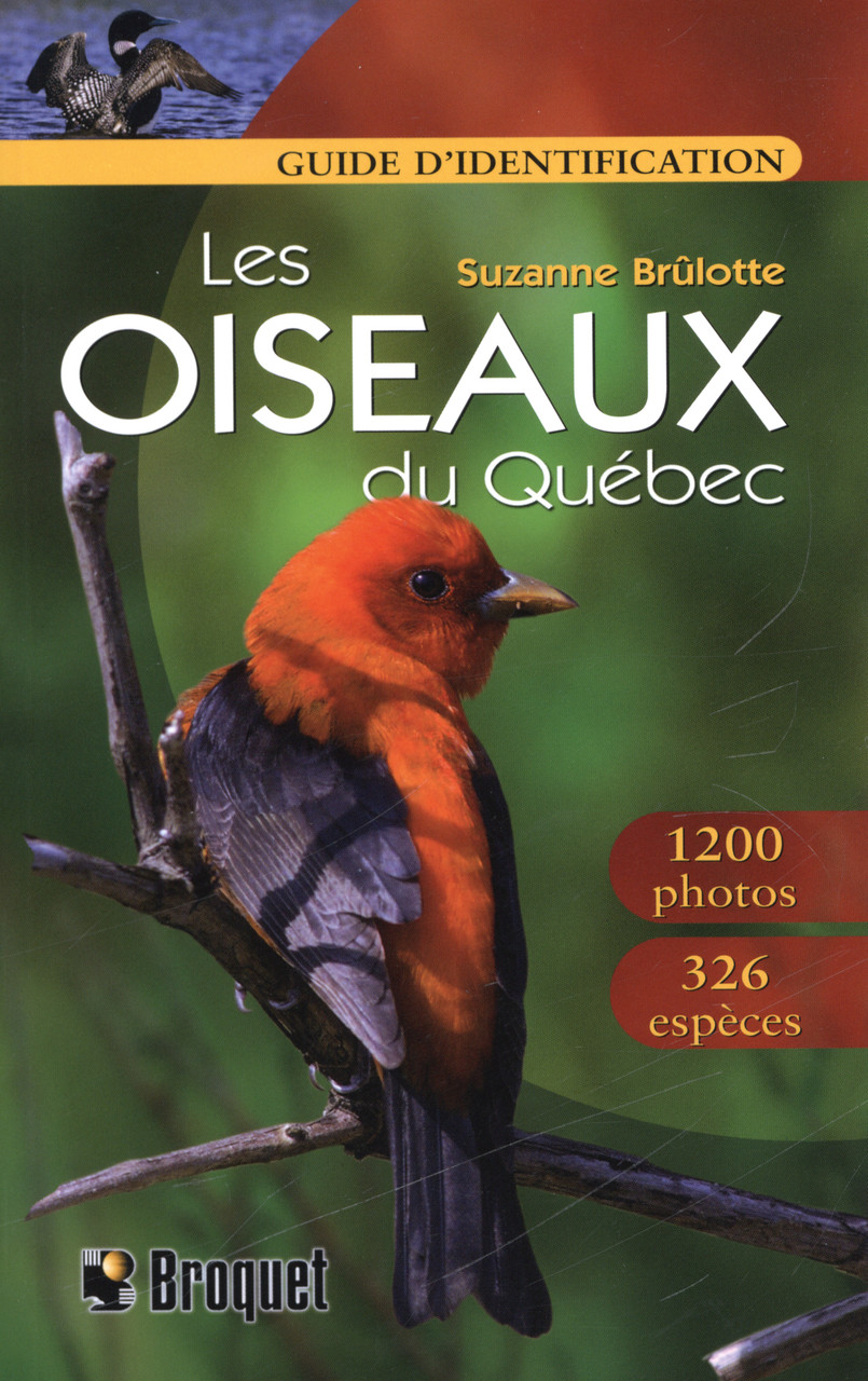 Les Oiseaux du Québec - Guide identification | MEC