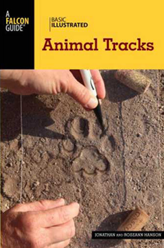 Basic Illustrated Animal Tracks | MEC
