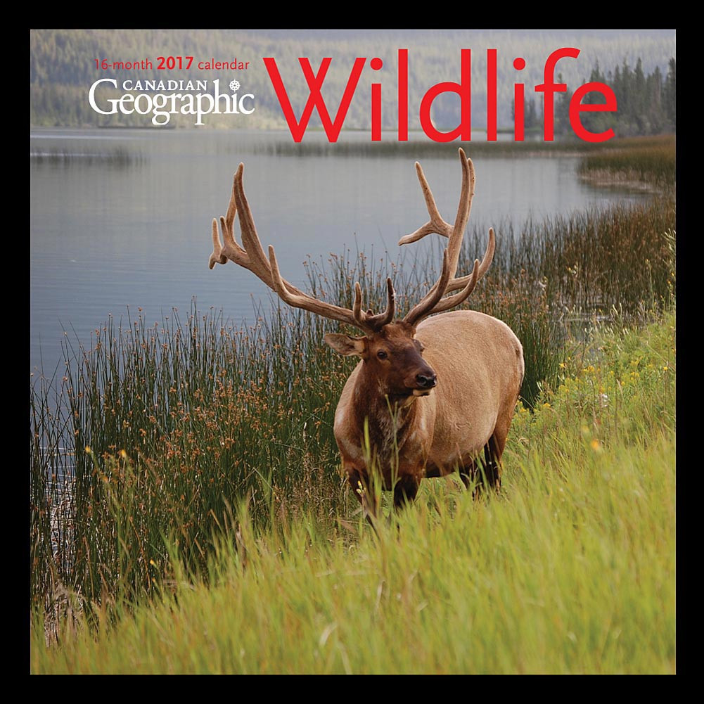 Canadian Geographic 2017 Wildlife Calendar | MEC