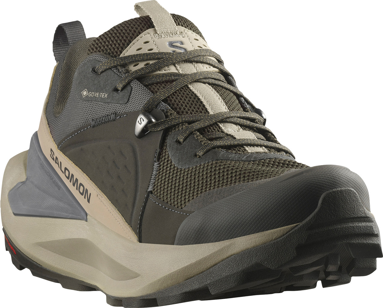 Hiking salomon shoes store
