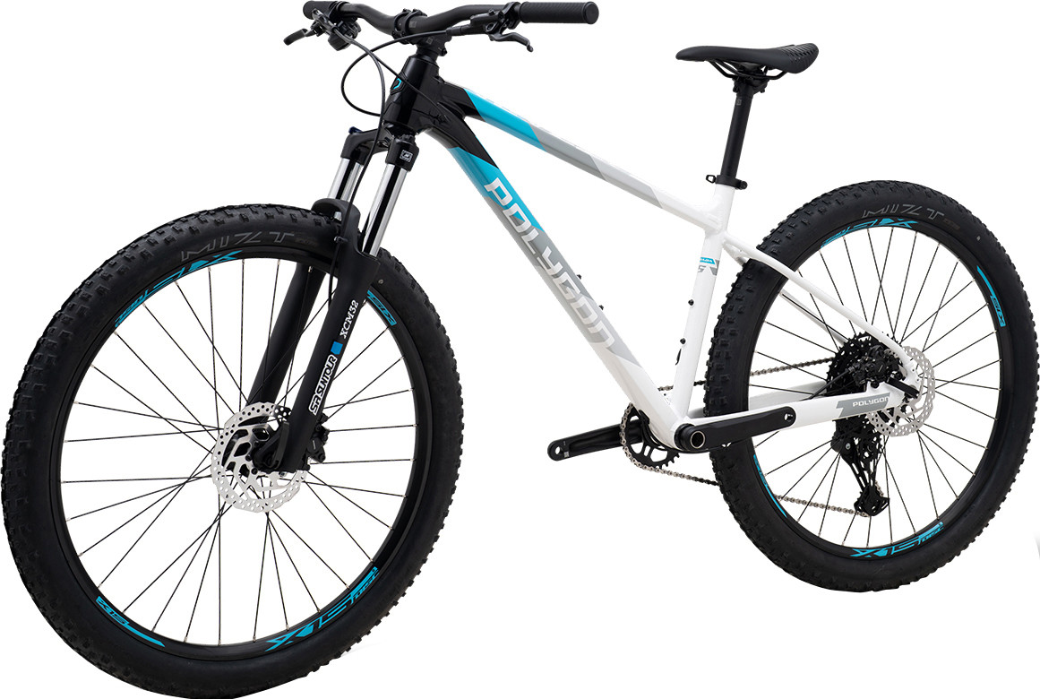 Polygon Xtrada 5 Mountain Bicycle - Unisex | MEC