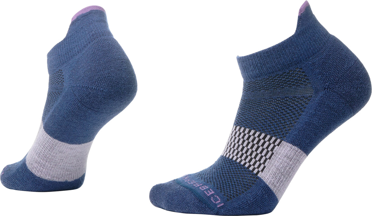 icebreaker Multisport Light Micro Socks - Women's | MEC