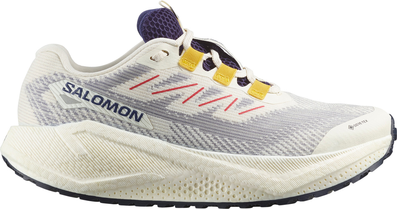 Chaussures de course Gravel Gore-Tex Aero Blaze 3 de Salomon - Femmes | MEC
