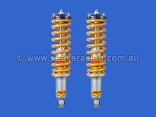 Pre Assembled Foam Cell Struts - TD-ISU-003 - Snake Racing