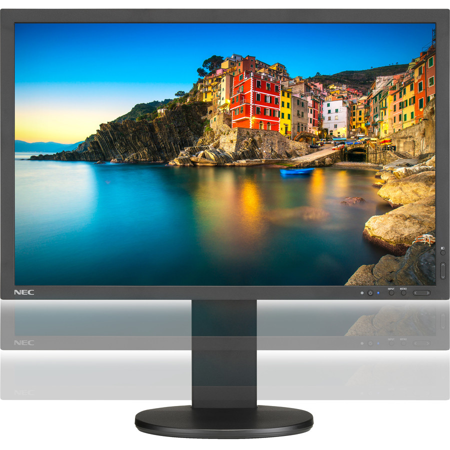 NEC Display SpectraViewII WUXGA LCD Monitor P243W-BK-SV