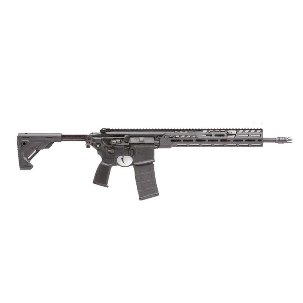 Sig Sauer MCX-Regulator (ROMEO2) | WBT Guns